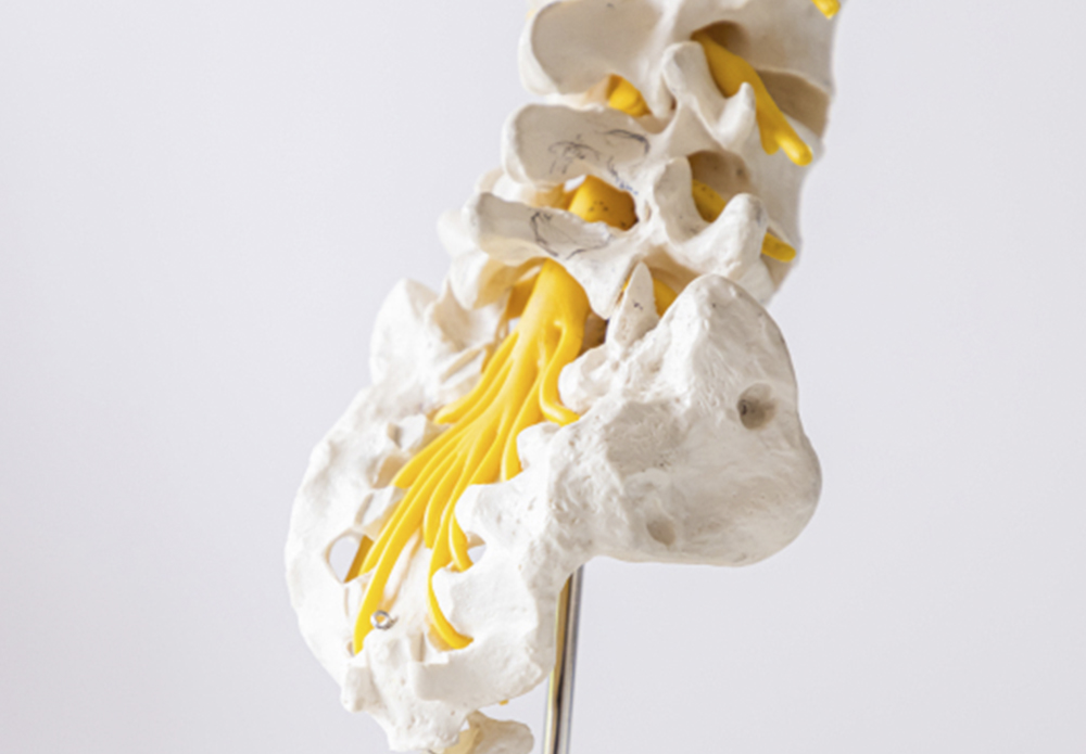 ¿Qué es la lumbalgia?: Causas y tratamiento del dolor lumbar - Clínica DKF